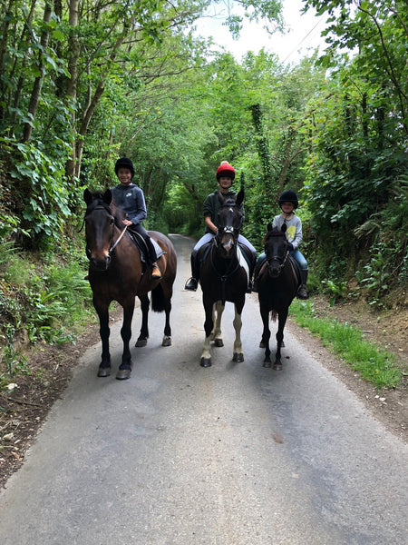 Half Term Hack – Gallop Guru