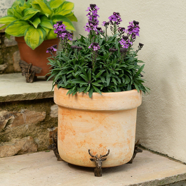 Set Of Three Stag Head Potty Feet | Country Gifts | Gallop Guru